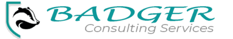 Badger Consulting Services